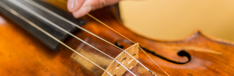 Andrea Amati | Amati Instruments Ltd