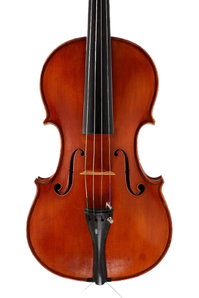 Specialist - Amati